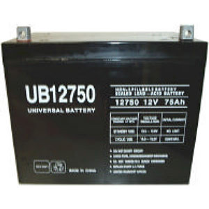 12 Volt 75 Amp Lead Acid Emergency Light Battery