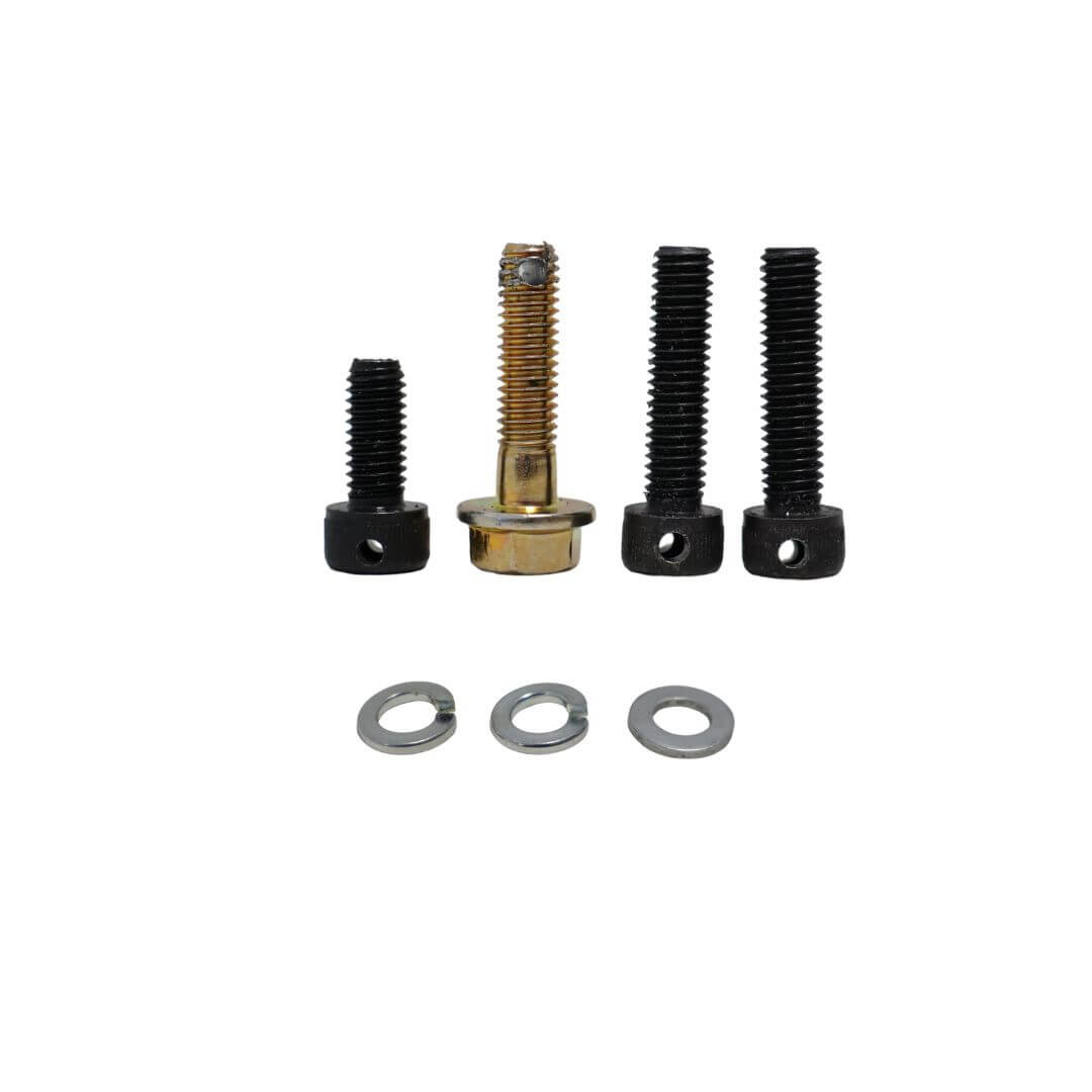 Briggs LO206 Seal/Tech Kit | Franklin Kart