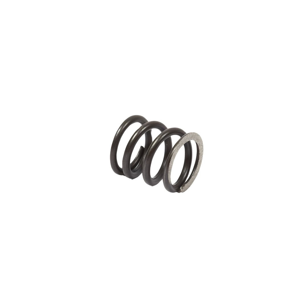 Briggs & Stratton LO206 Valve Spring | Franklin Kart