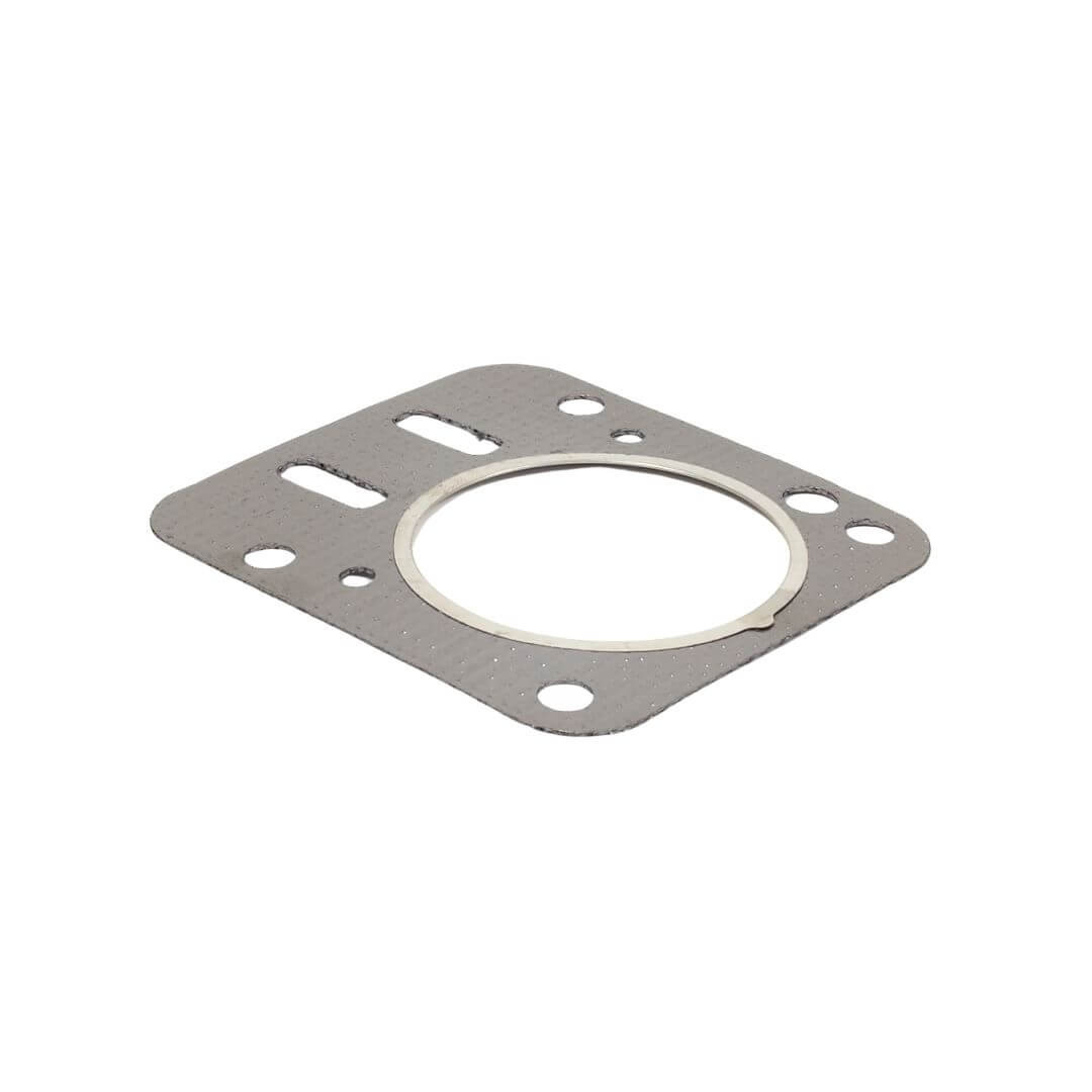 Briggs & Stratton Animal Head Gasket w/ Fire Ring | Franklin Kart