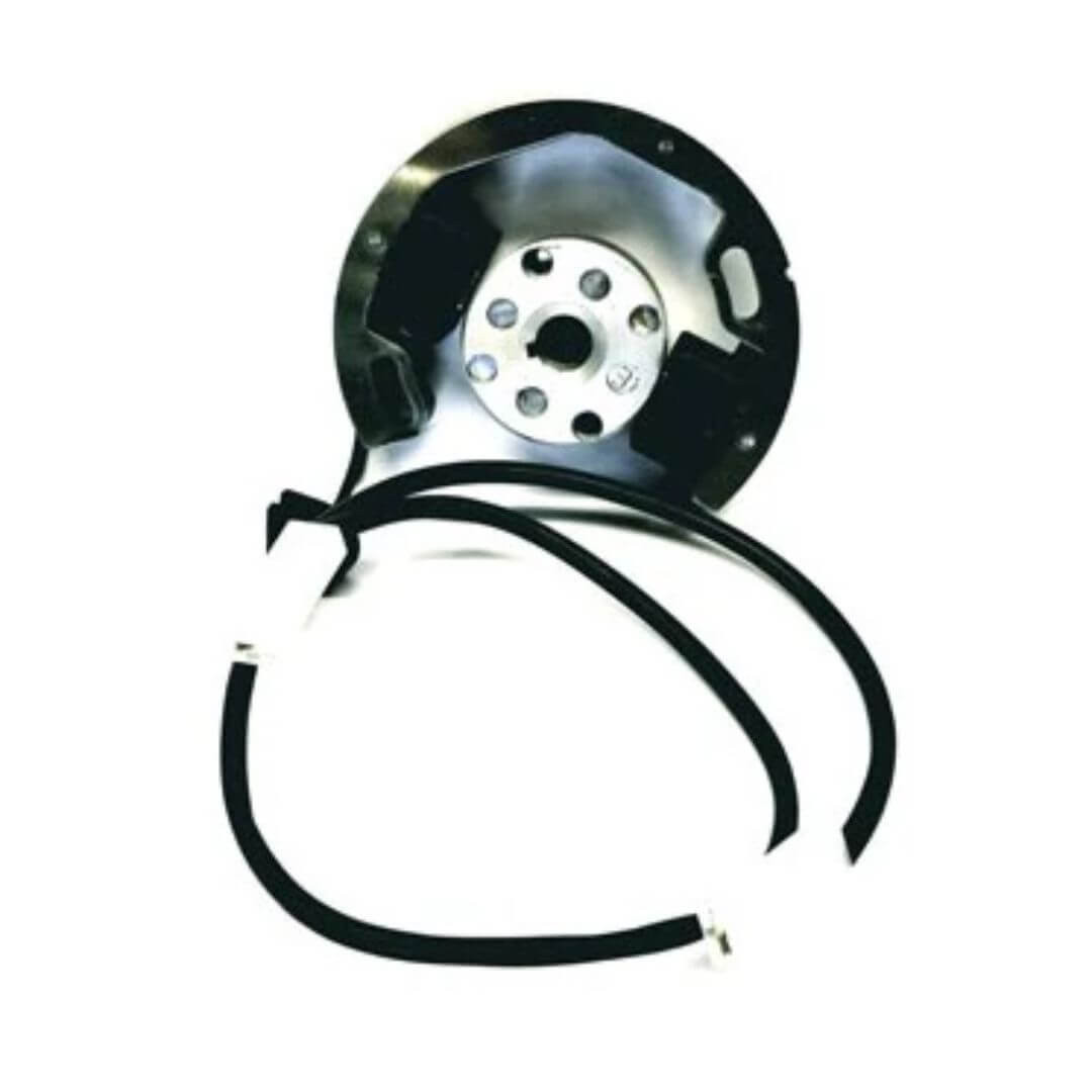 IAME KA100 Stator Assembly | Franklin Kart