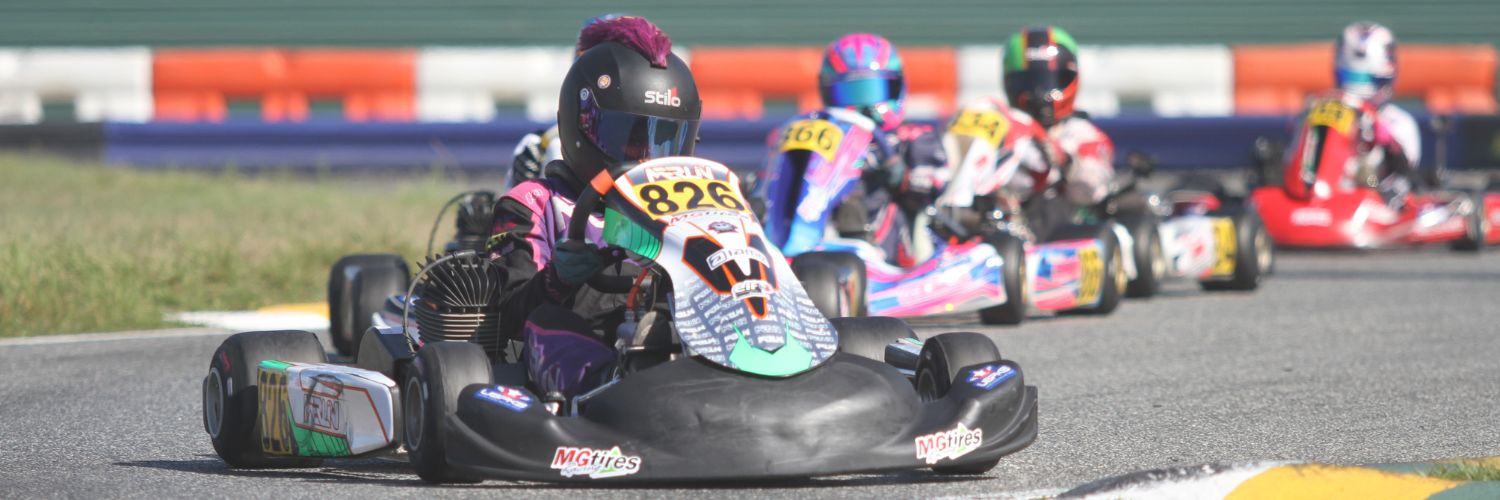 Racing Go Kart and Racing Go Kart Parts | Franklin Kart