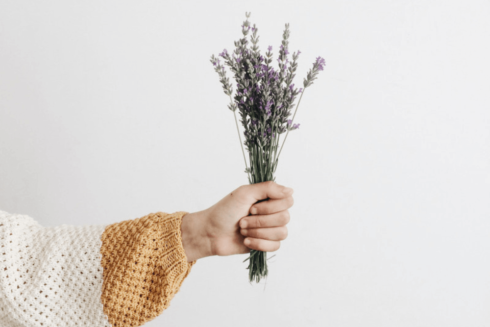 Diffuser Combinations Using Lavender Oil - N-essentials Pty Ltd