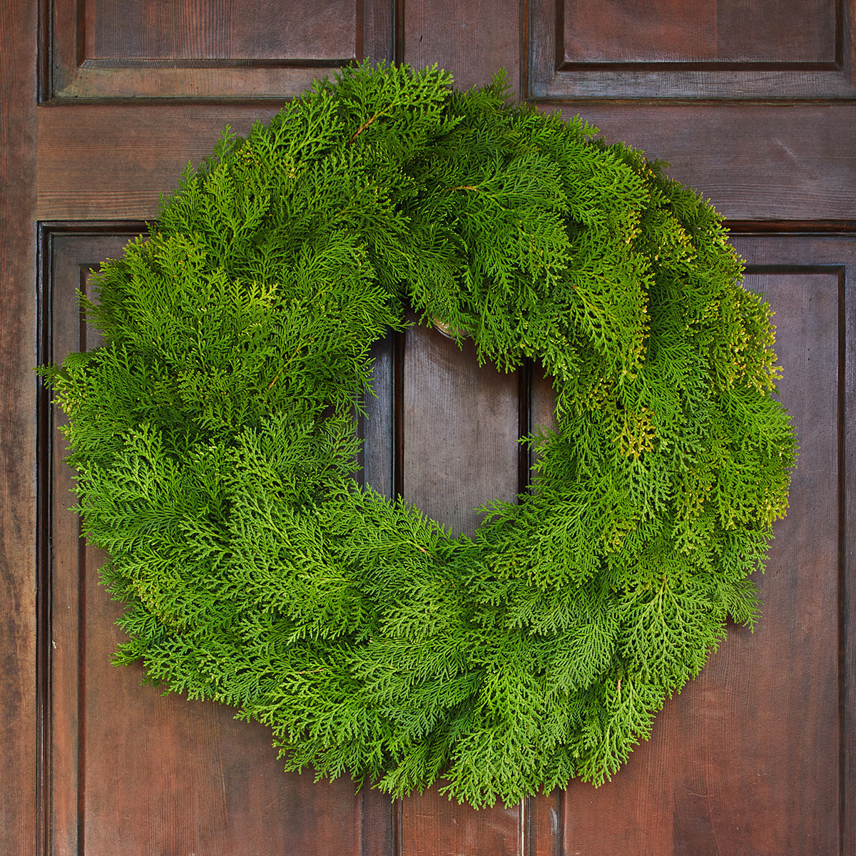 Simply Cedar Wreath For Sale | Buy Fresh Cedar Wreath Online