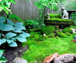 Benefits of Growing a Moss Garden - Native Wildflowers Nursery