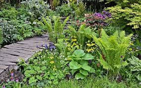 Use Foliage for 4-Season Color - Native Wildflowers Nursery