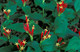 Indian Pink For Sale Online | Native Perennial, Unique foliage