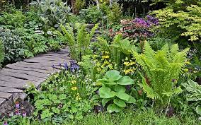 Use Foliage for 4-Season Color - Native Wildflowers Nursery