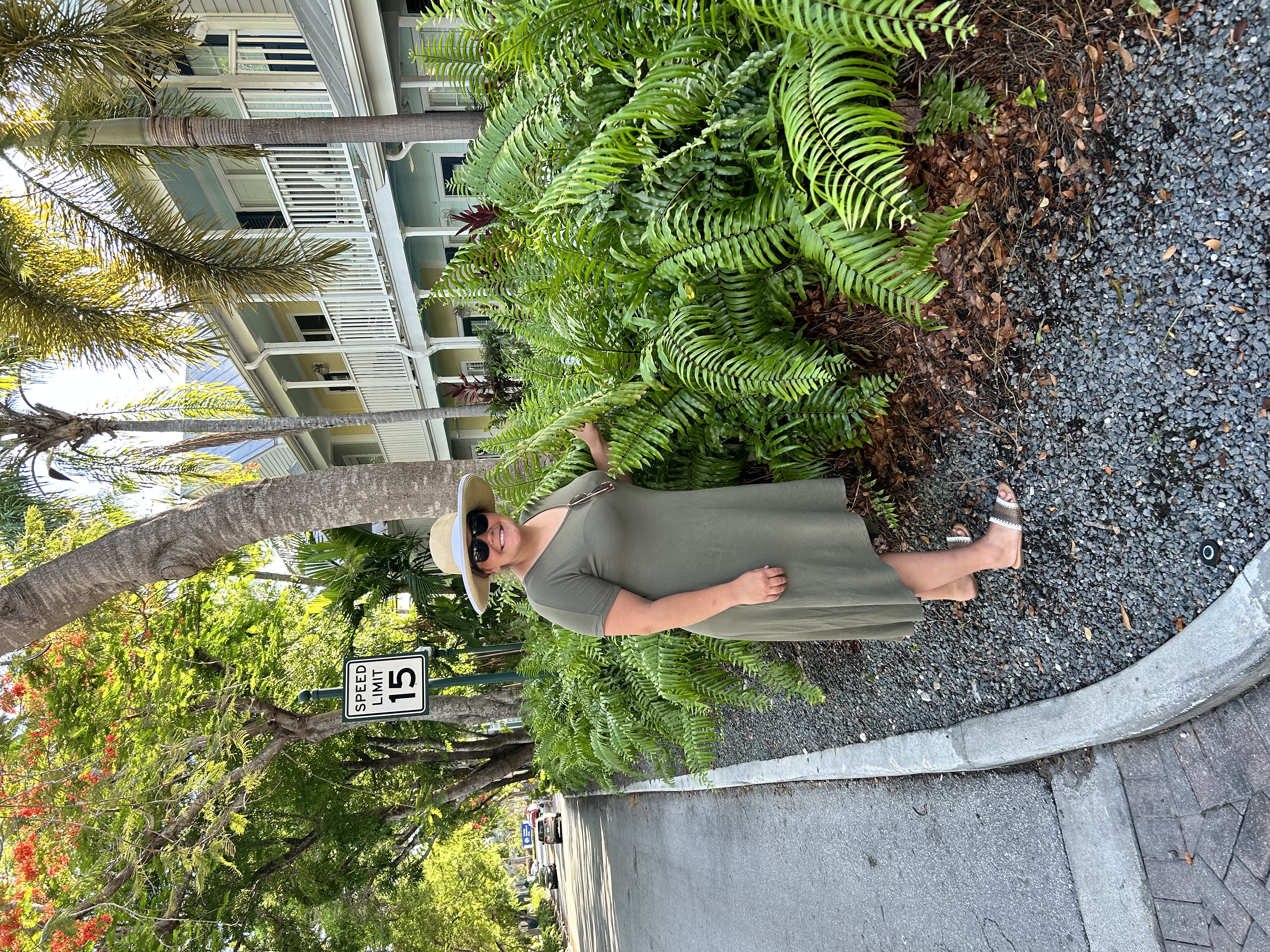 Plants of Key West - Native Wildflowers Nursery