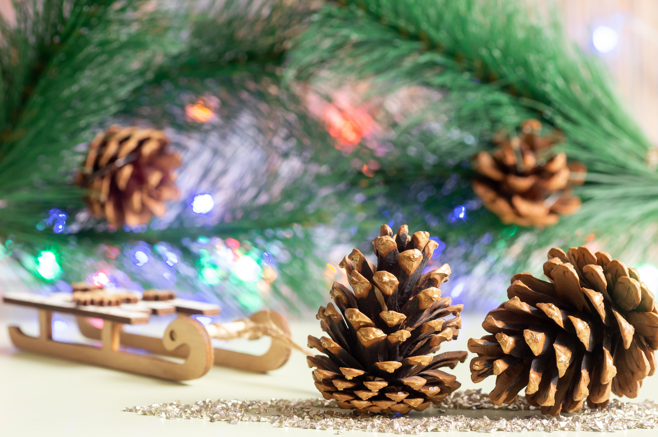 Fresh Pines for Holiday Decor: A Natural Touch for the Festive Season ...