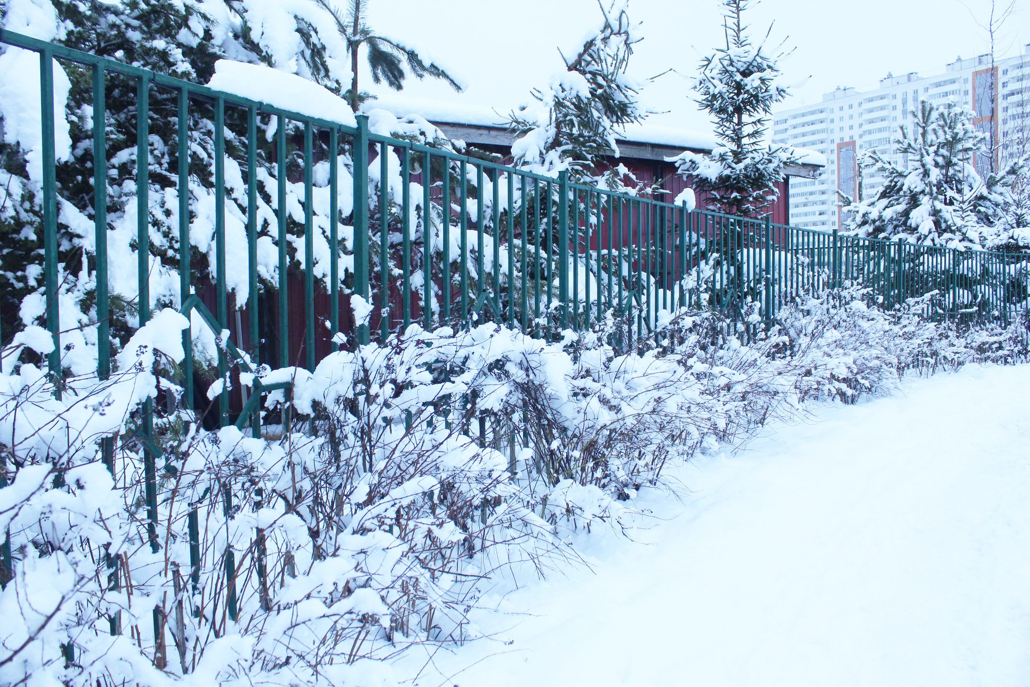 Getting your Winter garden ready for Spring - Native Wildflowers Nursery