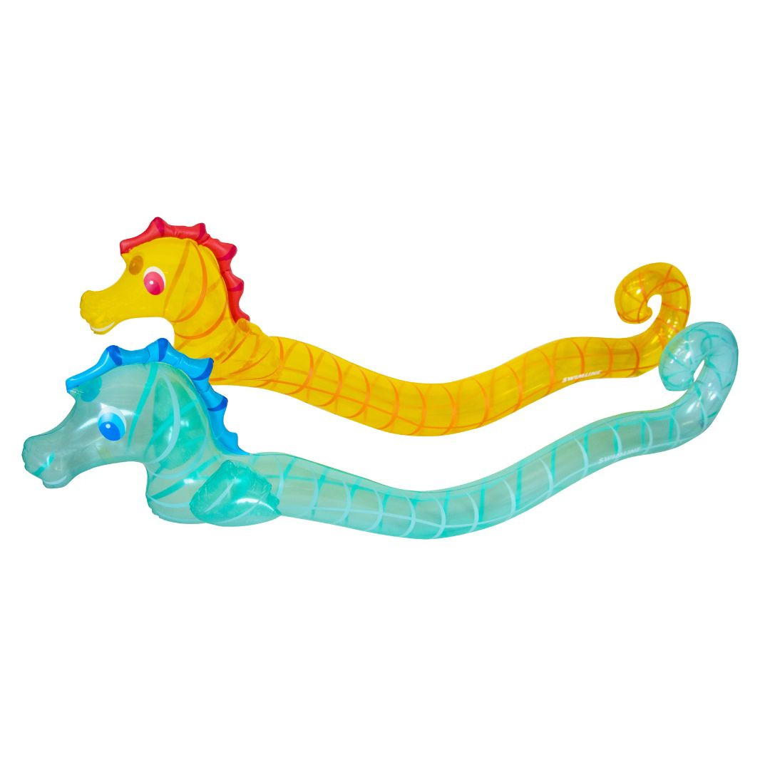Seahorse Doodle Inflatable Pool Noodles 2-Pack