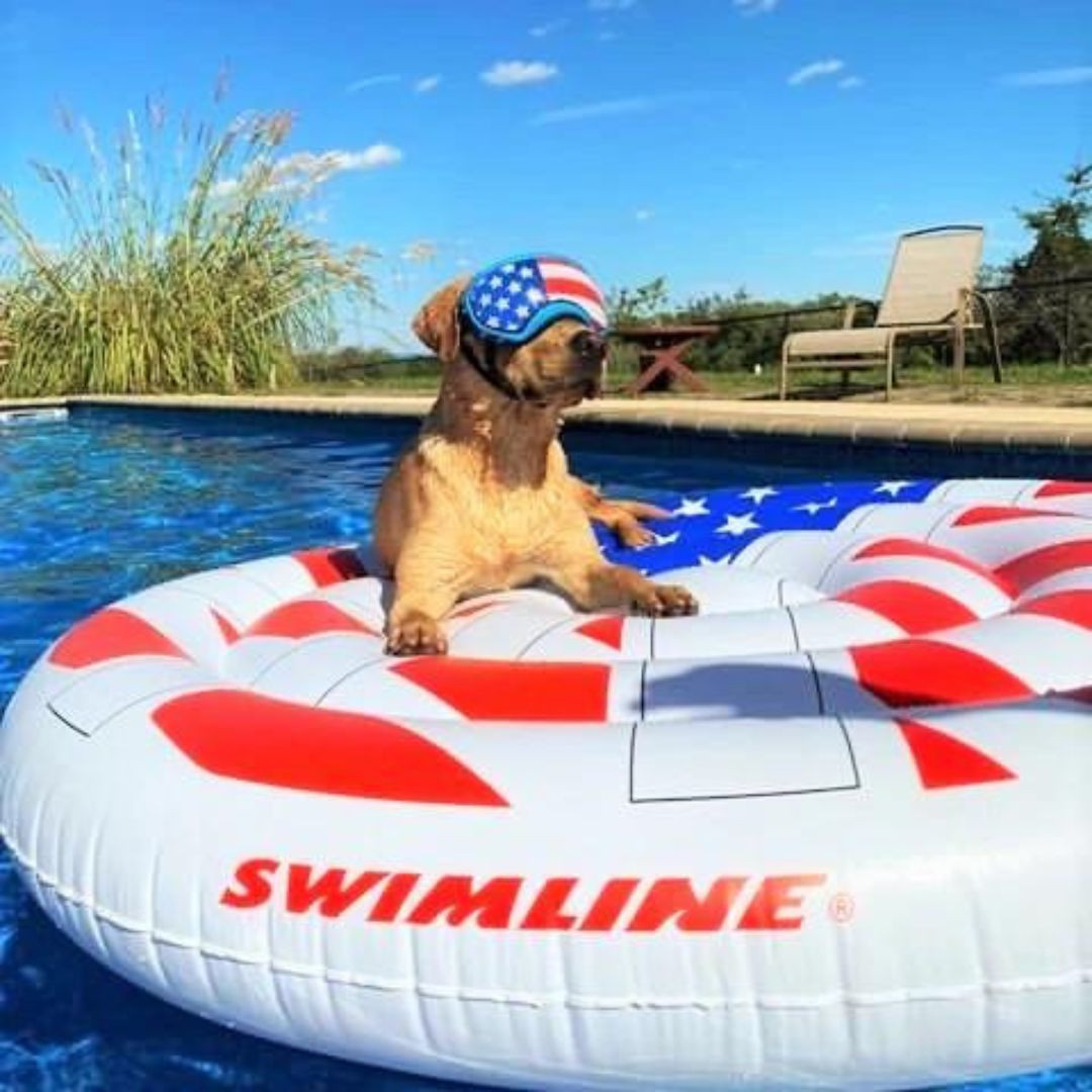 National Discount Pool Supplies