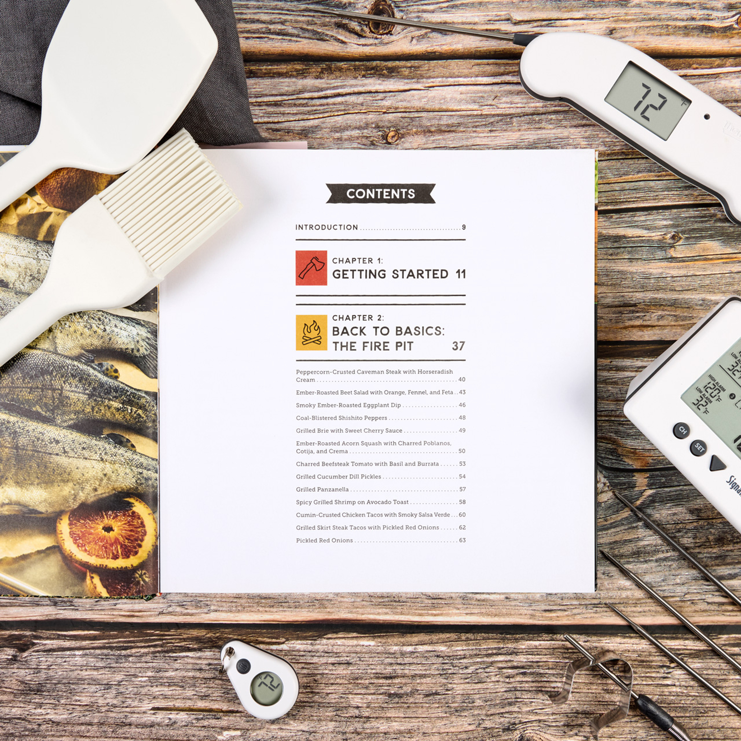 The Backyard Fire Cookbook: Get Outside and Master Ember Roasting ...