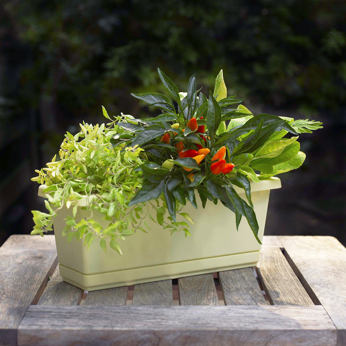 Majestic Windowsill Planter