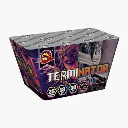 Terminator - 500 Gram Cake