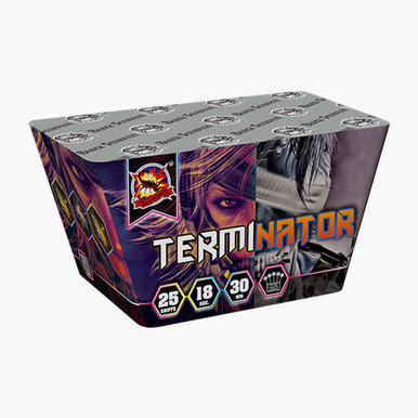 Terminator - 500 Gram Cake