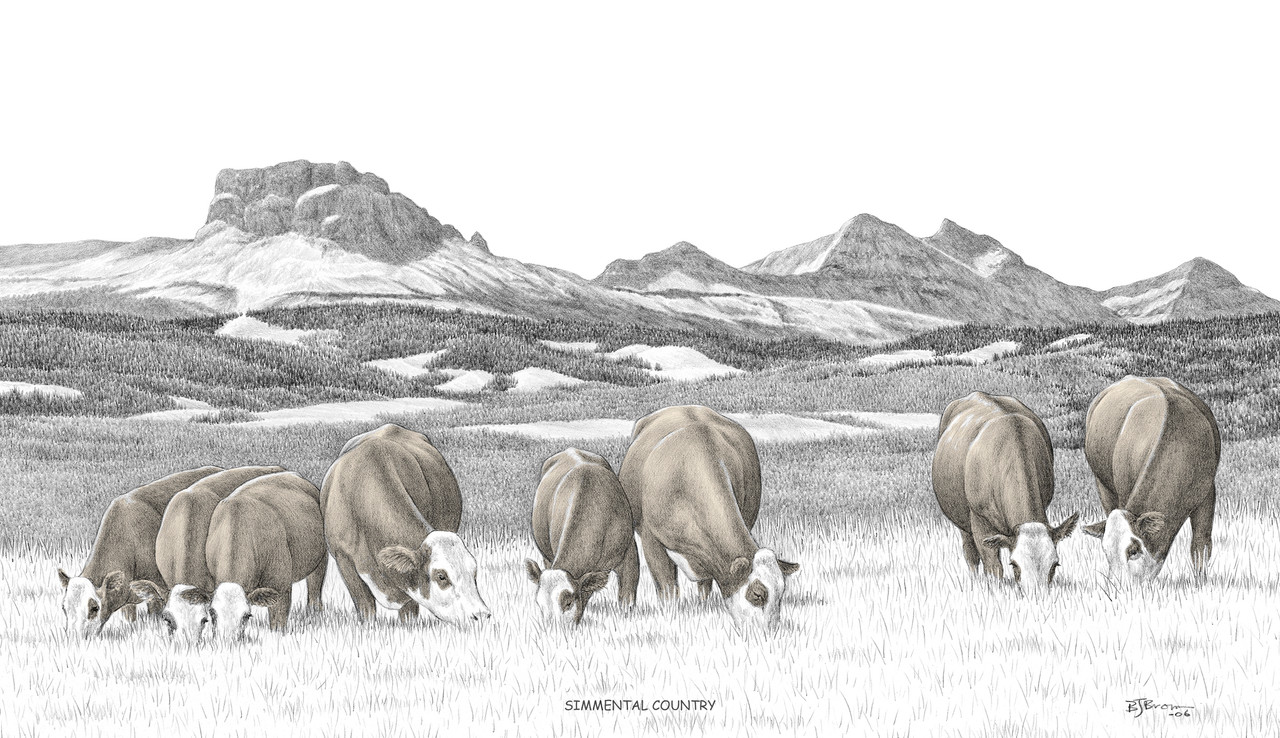"Simmental Country" Limited Edition Print | Bernie Brown Art | Wildlife ...