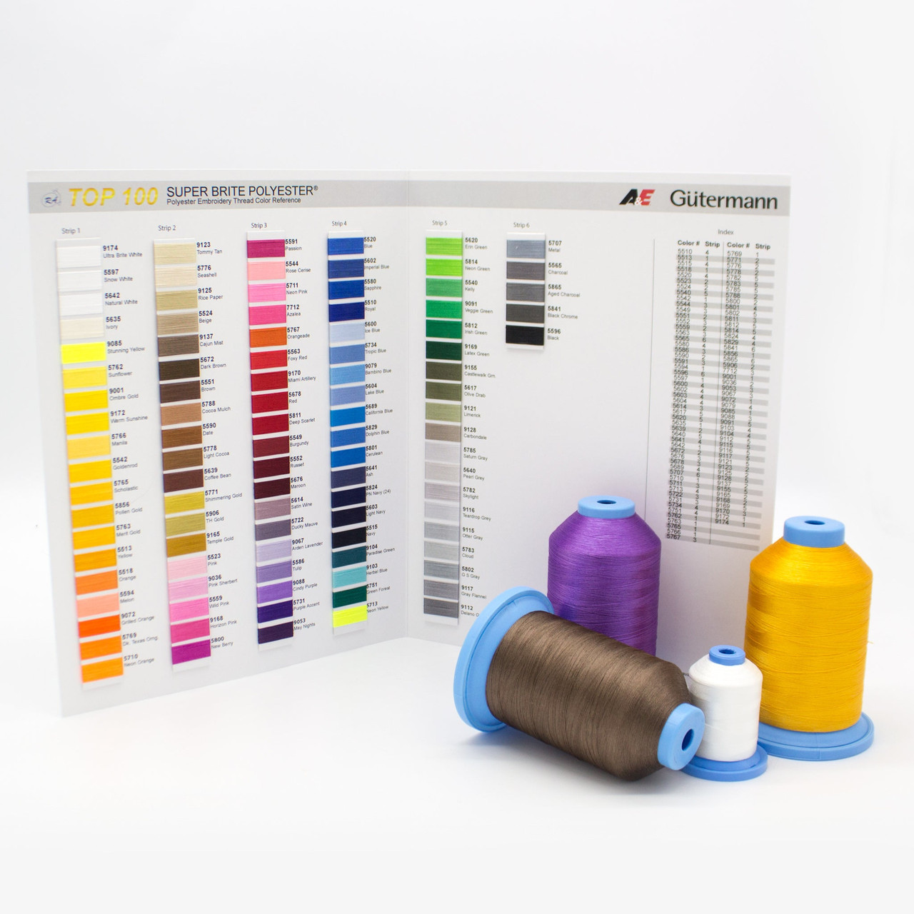 Robison-Anton Super Brite Polyester Top 100 Thread Color Card - TES ...