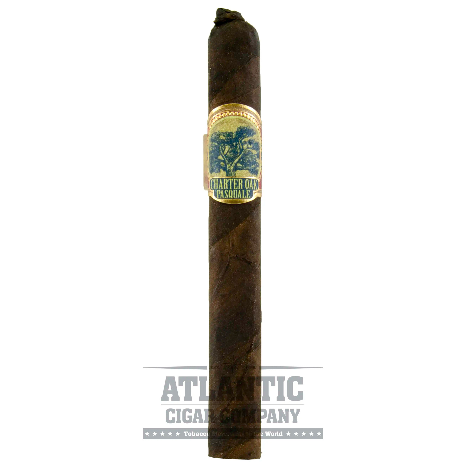 Charter Oak Pasquale (5 1/2 x 48) | Atlantic Cigar Company