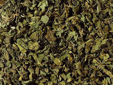 Nova Tea Company