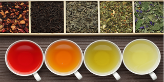 Nova Tea Company