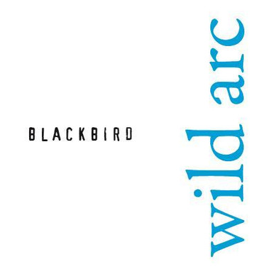 Wild Arc Farm Blackbird Hudson River Region 2022 750ml