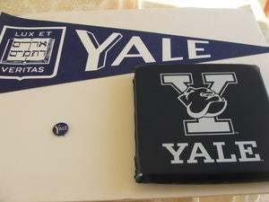 Yale Tailgating Kit / Seat Cushion-Banner-Pin - Collectible Ivy