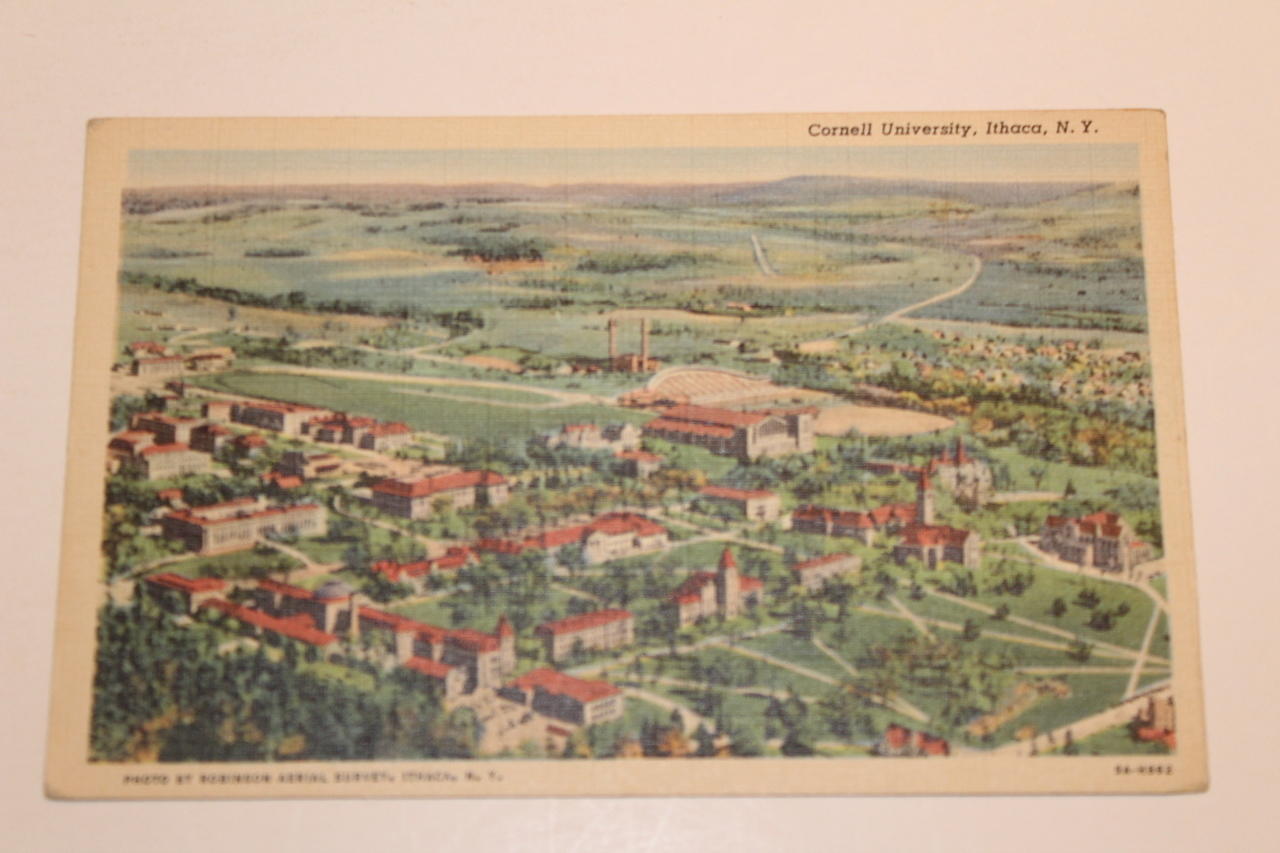 Cornell Linen Postcard - Aerial View - Collectible Ivy
