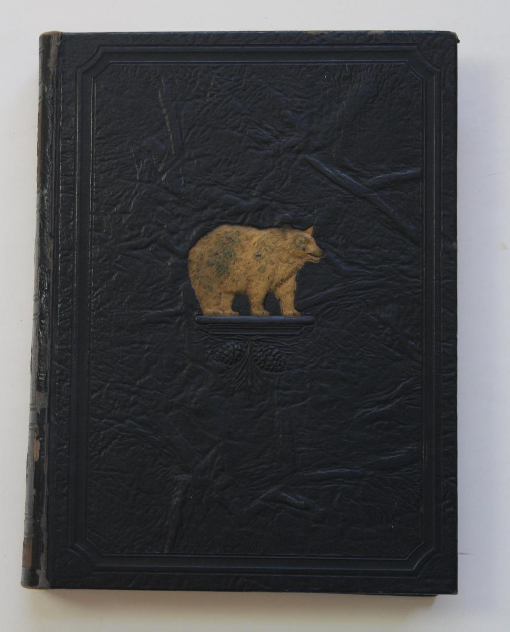 University California Berkeley 1928 Yearbook Blue and Gold - Olympic ...
