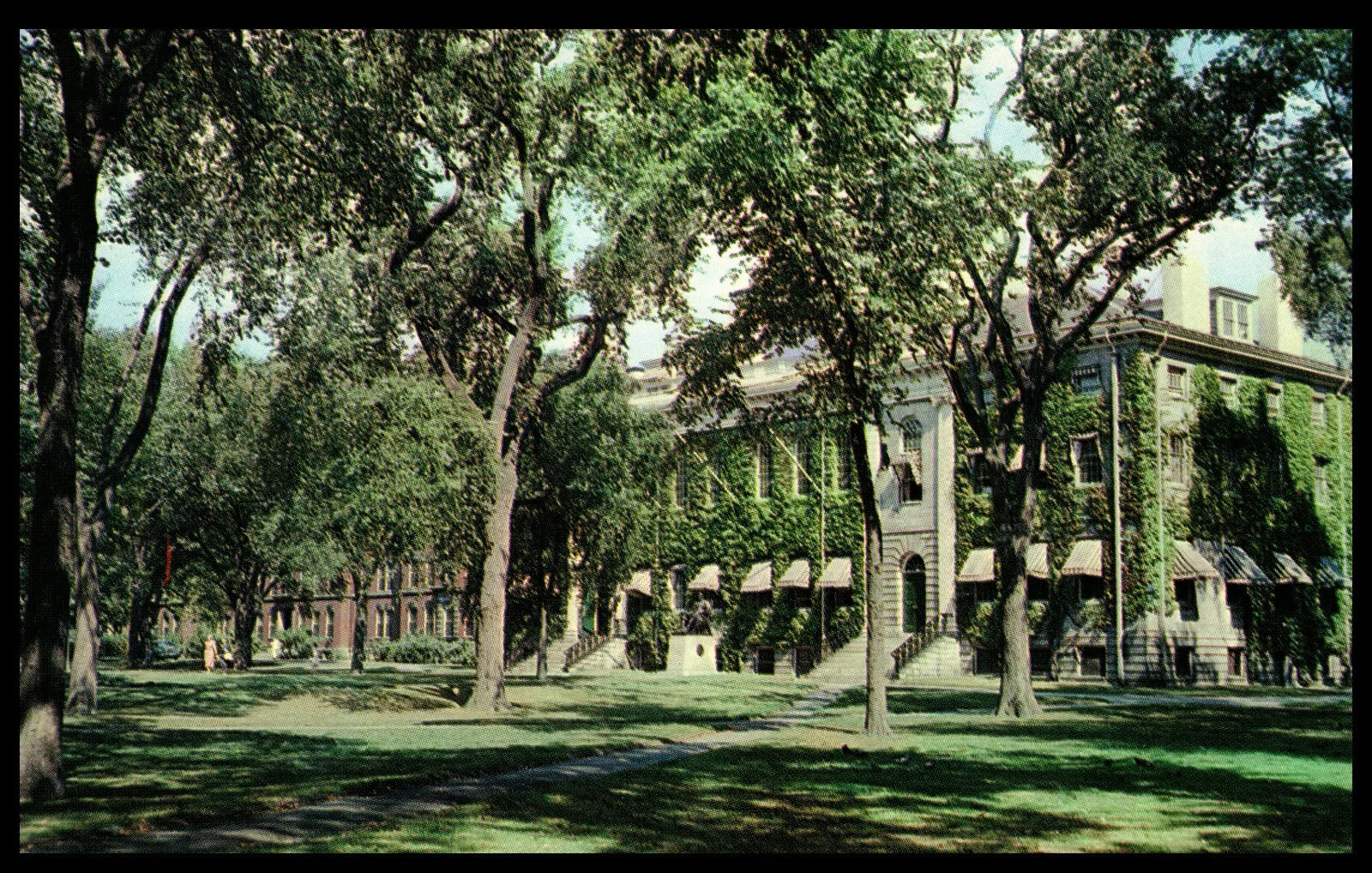 University Hall Harvard Postcard - Collectible Ivy