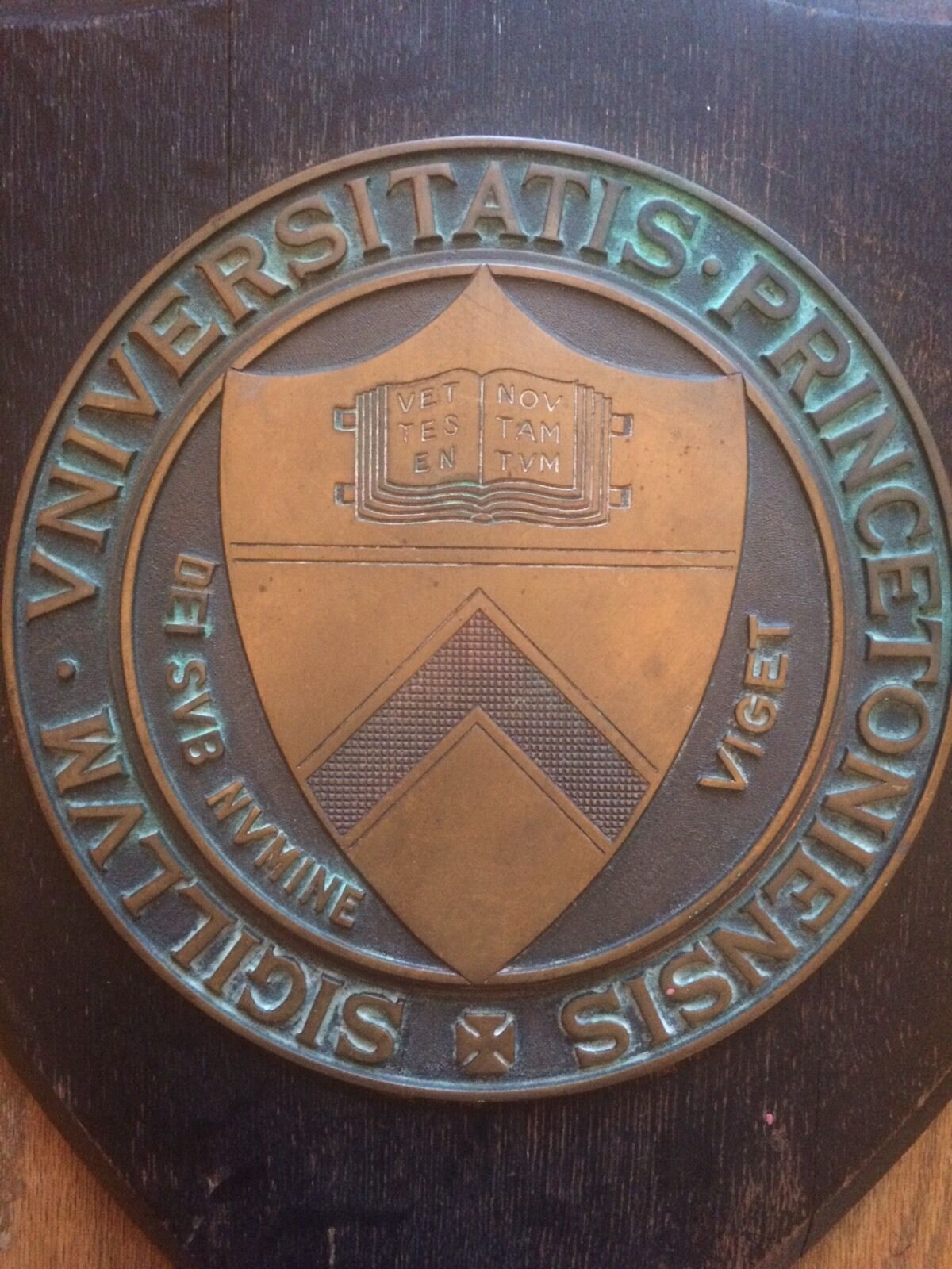 Vintage University Plaques - Collectible Ivy