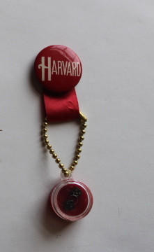 Harvard Pin with Hanging Dice - Collectible Ivy