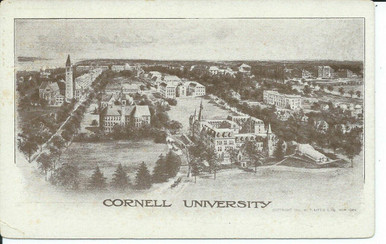 Cornell Postcard Aerial View 1907 - Collectible Ivy