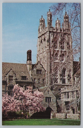 Yale Postcard - Wrexham Tower, Saybrook College - Collectible Ivy
