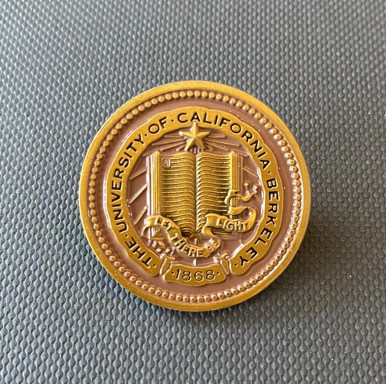 University of California Berkeley Lapel Pin - Collectible Ivy