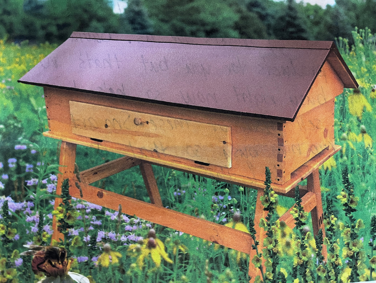 King Bee Smart Hive includes shipping - DAVID BURNS BEEKEEPING