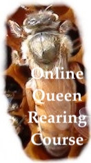 Online Beekeeping Courses
