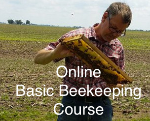 Basic Beekeeping Course- ONLINE