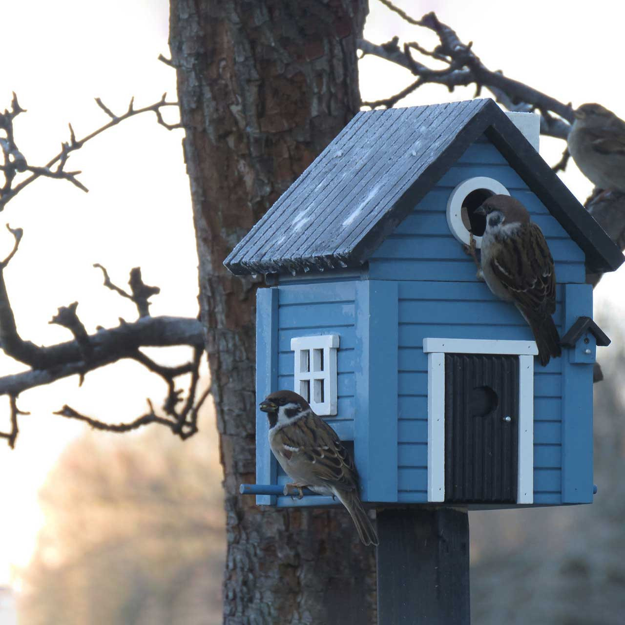 Wildlife Garden Bird Feeder Nesting Box MULTIHOLK - The Design Gift Shop