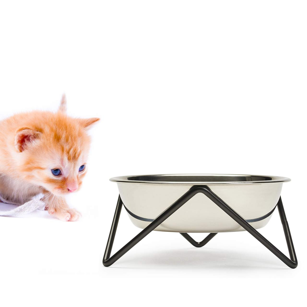 Bendo Designer Cat Bowl Meow Luxe Copper Stand | the design gift shop