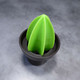 Cookut Green Cactus Fruit Juicer Diego | the design gift shop