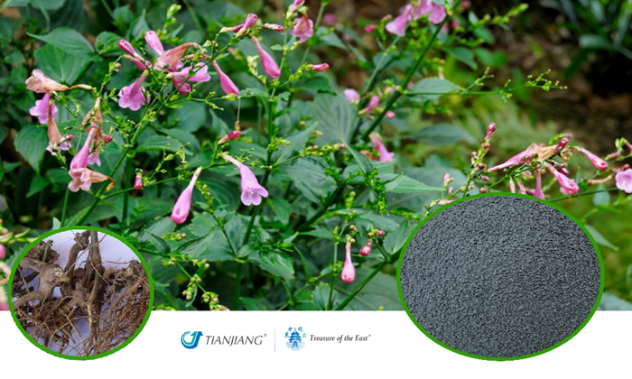 The Benefits of Qing Dai - AcuAtlanta - Acupuncture Atlanta