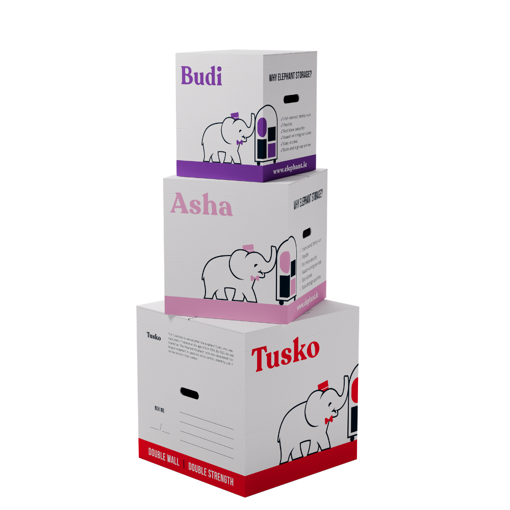 BUDI BOX - Small double walled box