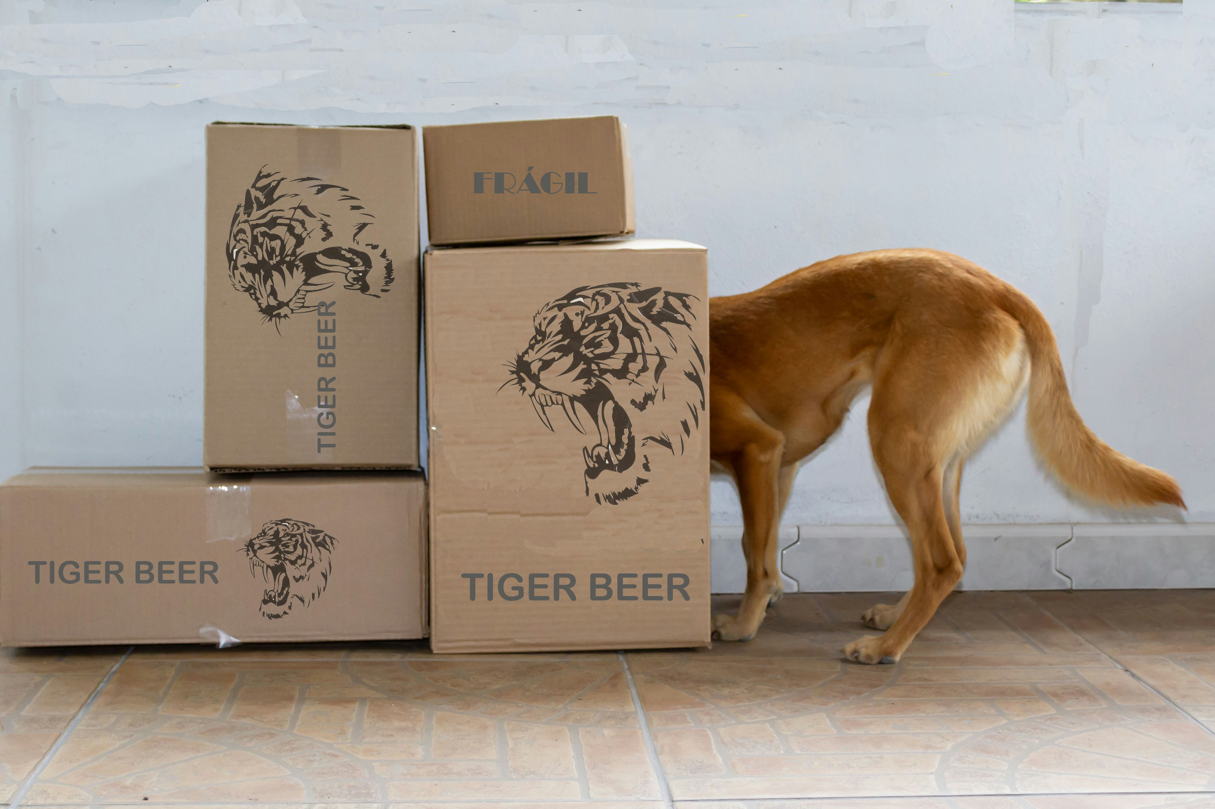 10 Top Tips for Packing Boxes - Elephant Storage Boxes And Box Shop