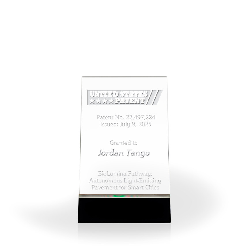 Liam Fused Black and Clear Crystal Patent Award - Large | Desktop ...