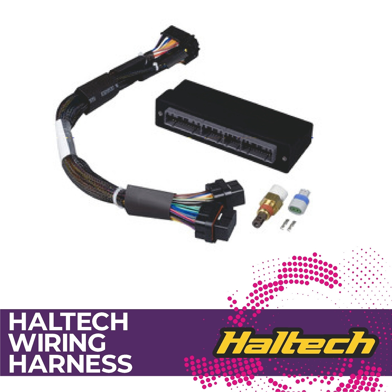 Haltech | Exoracing Ltd