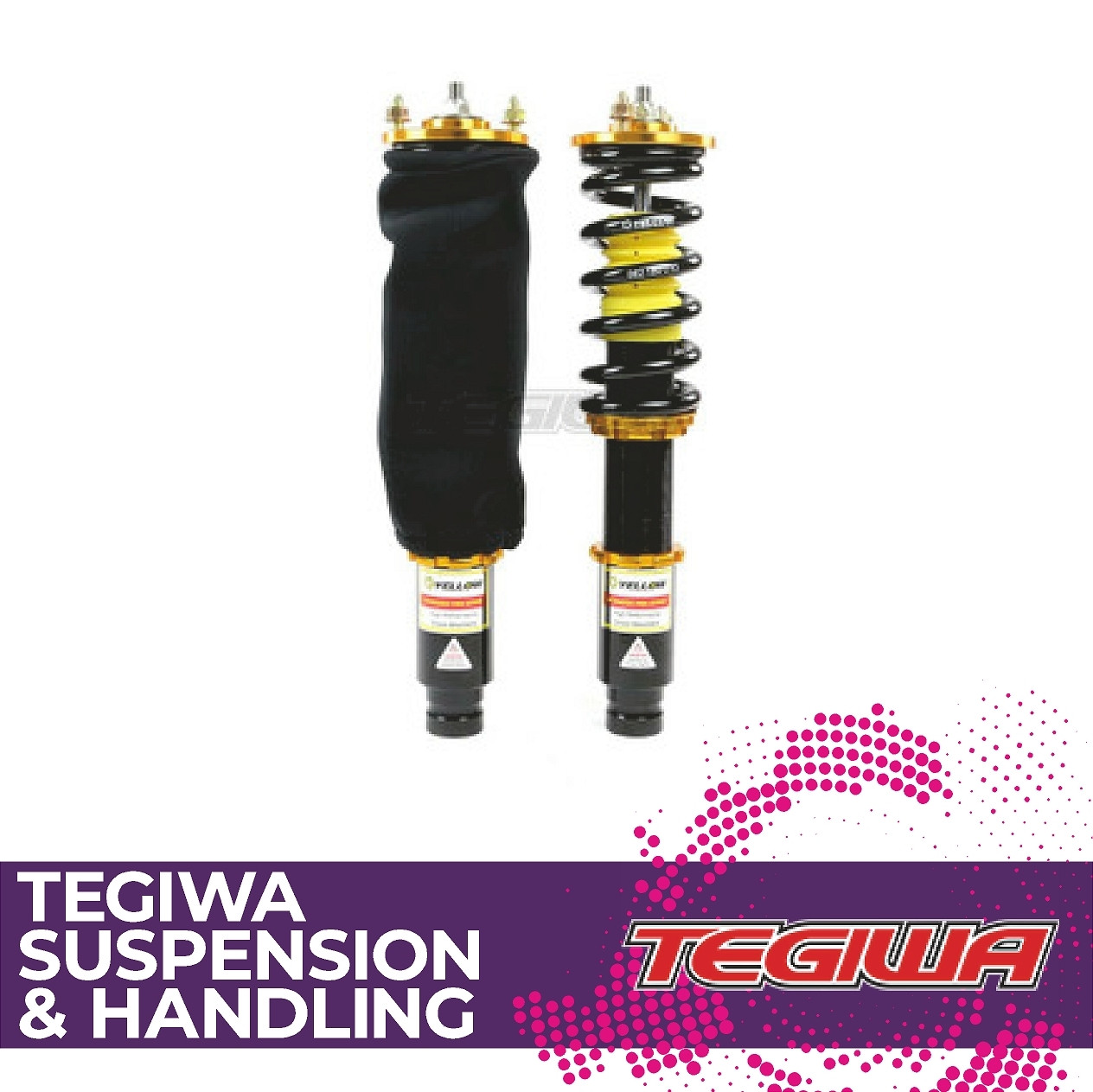 Tegiwa Performance Parts | Exoracing Ltd