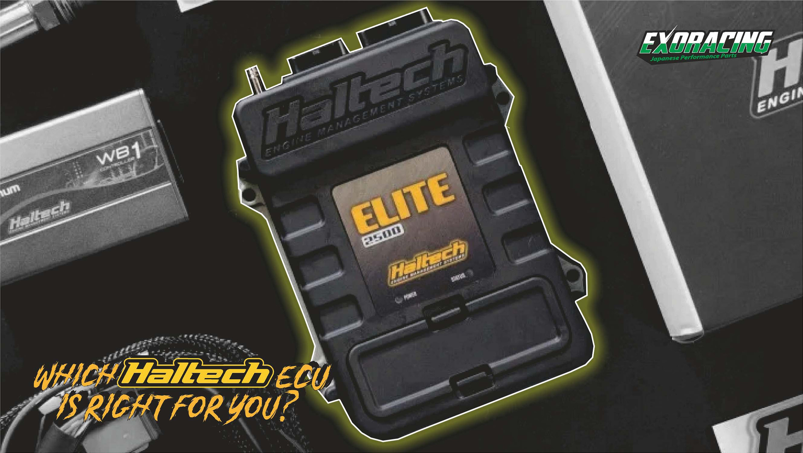 The Ultimate Guide to Haltech ECUs - Exoracing Ltd
