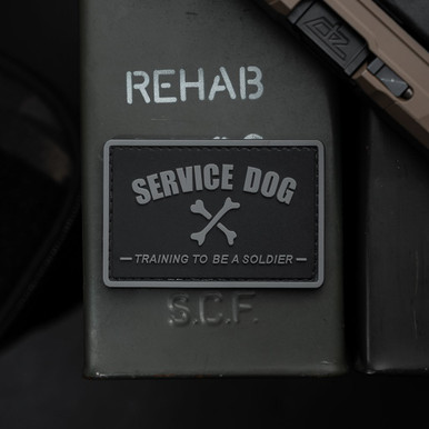 Service Dog Patch Training To Be A Soldier